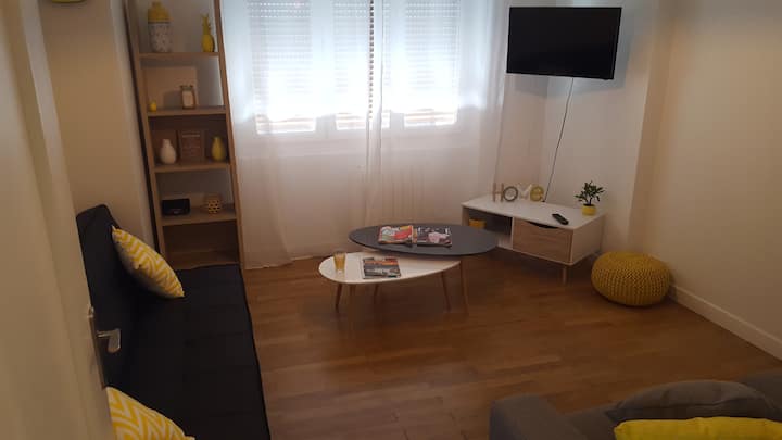 Appartement 45 M2 Centre-ville De Grenoble - Échirolles