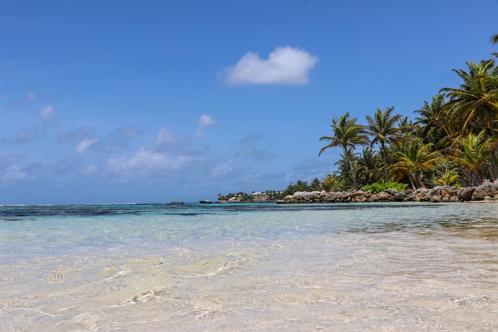 Coconutplage - Sur Sa Plage - Guadeloupe