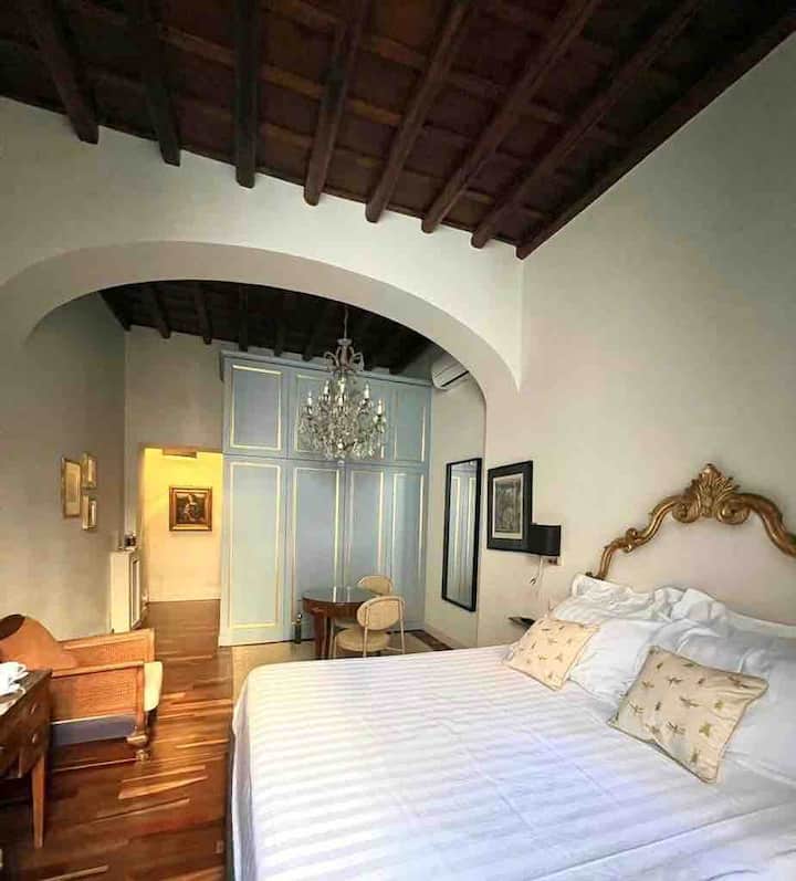 Elegante Stanza In Palazzo Storico - Roma