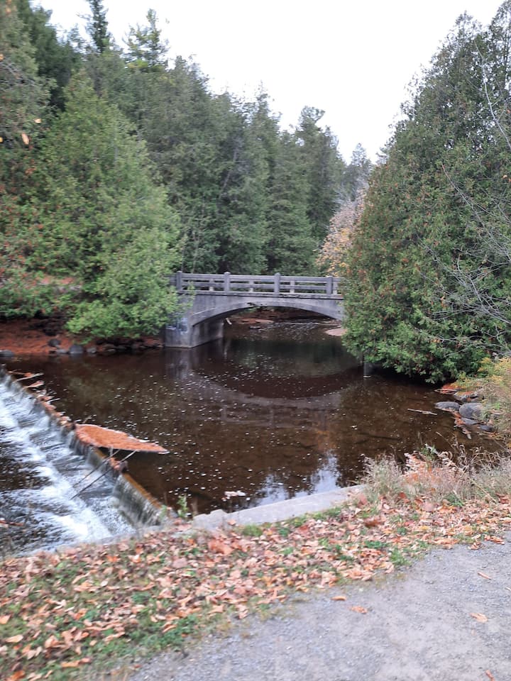 Cozy One Bedroom Beside Jackson Park And Prhc - Peterborough, ON, Canada