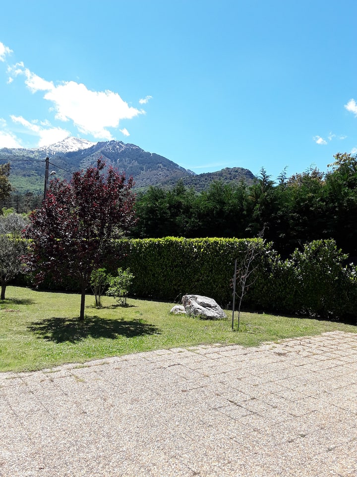 Loue T2 Dans Res Calme - Corte