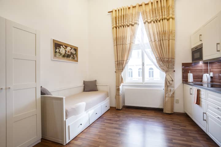 Tidy Apartment Near Wenceslav Square - Praga