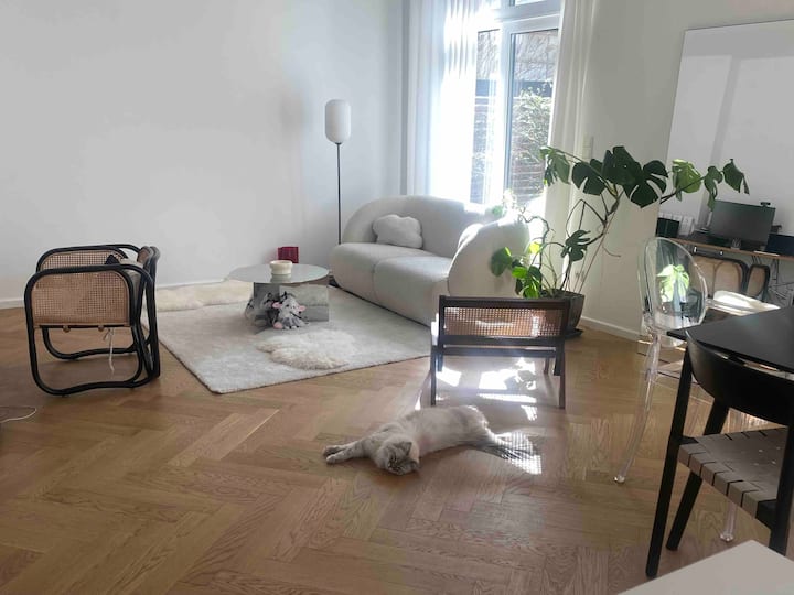 Stylish Room In Cozy Apartment - Hermsdorf