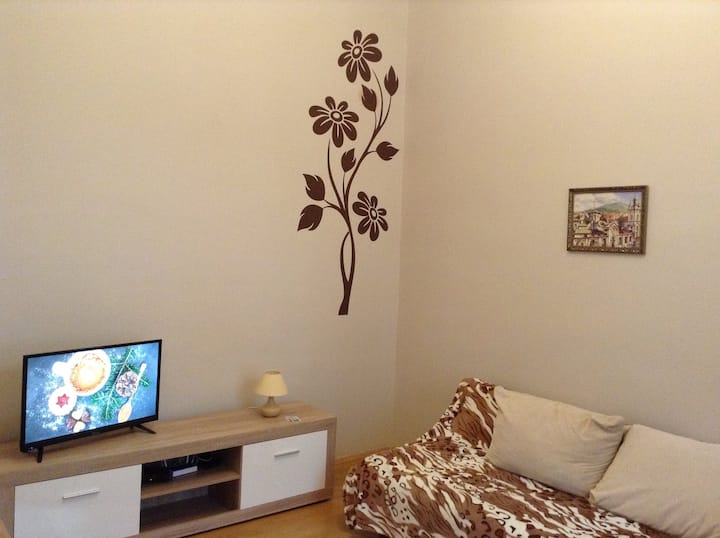 Family Stay In Lviv (2 Rooms + Kitchen) - Lviv