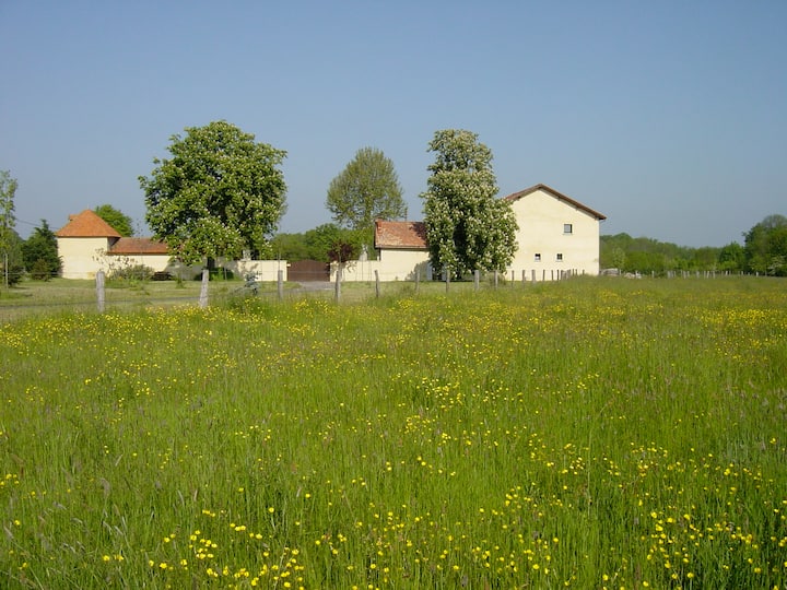 Culhat - Gite De Bogros En Pleine Nature - Lezoux