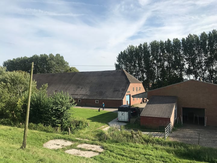 Gulfhof Friedrichsgroden Wohnung "Knutt" - Spiekeroog