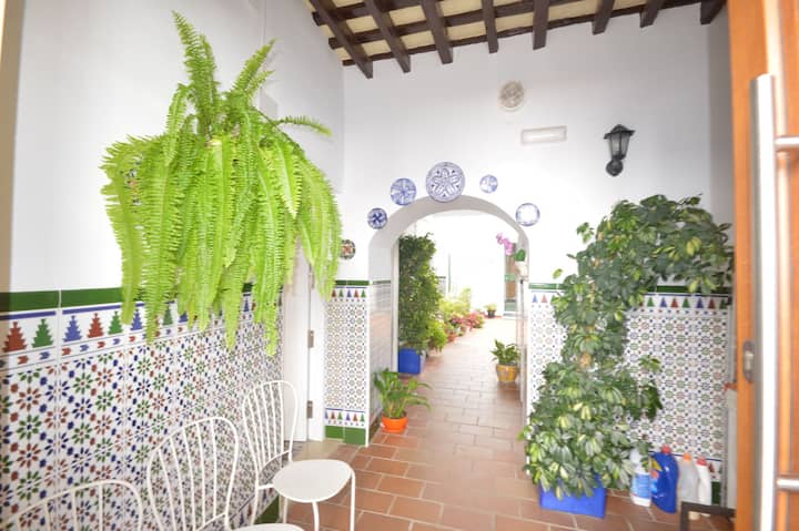 Apartamento Típico A 300 M De La Playa Conil - Conil de la Frontera