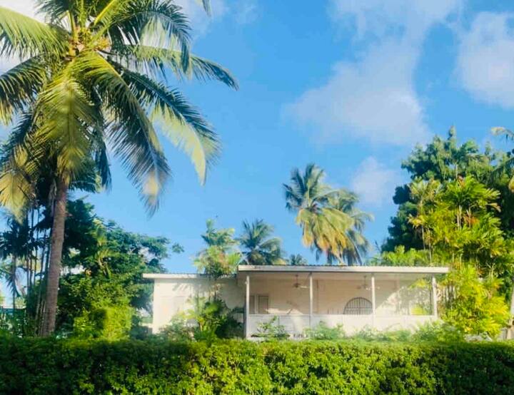 West Coast 3 Bedroom Villa - Barbados