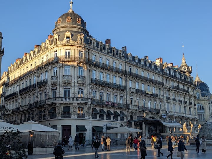 Des Livres Au Coeur De La Ville - 蒙彼利埃