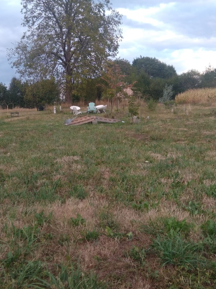 Un Coin De Verdure Sous La Voûte éToilée - Aire-sur-l'Adour