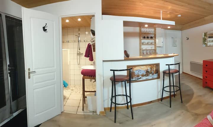 Chaleureux Studio, Plein Centre D'aix Les Bains - Lac du Bourget