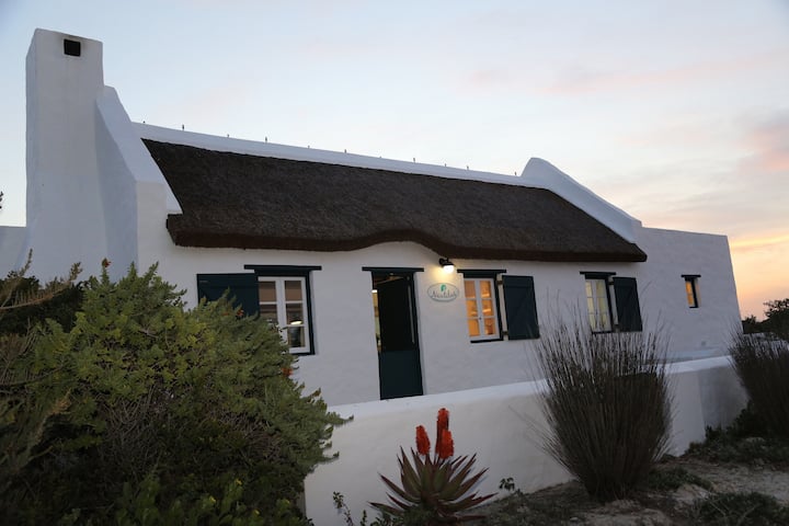 Nautilus In Langezandt - Struisbaai