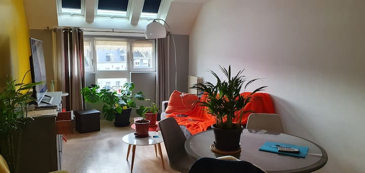 F3, 2 Chambres, Plein Centre, 500m Naval Group. - Cherbourg-Octeville