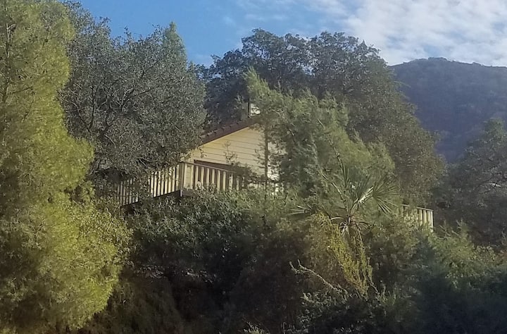 Great Views - 2 Miles From Park -  Dog Friendly - Three Rivers, CA