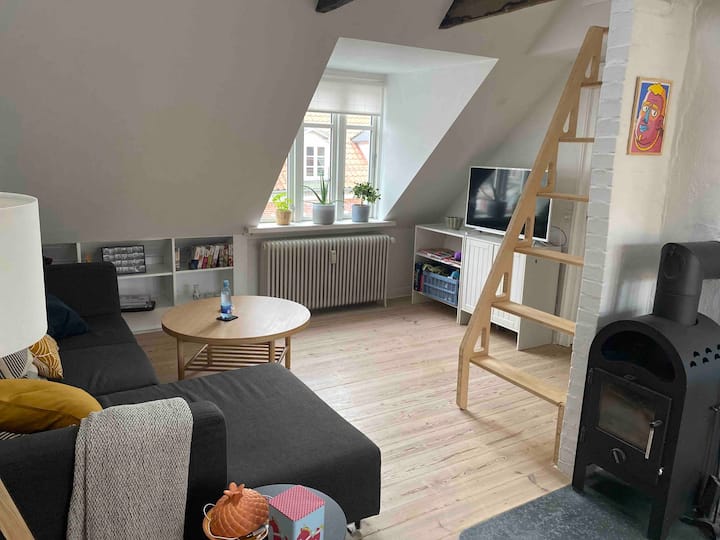 Cosy 2 Bedroom Loft Apartment In Great Location - Aarhus