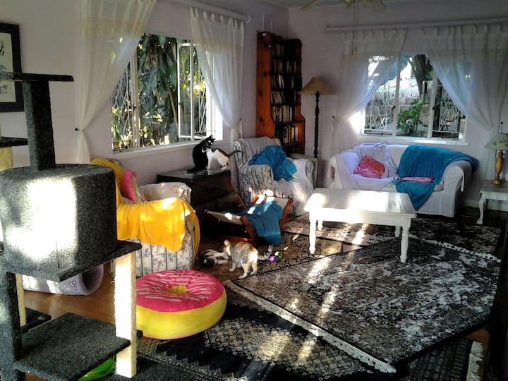 House In Glenwood - The Teal Room - ダーバン