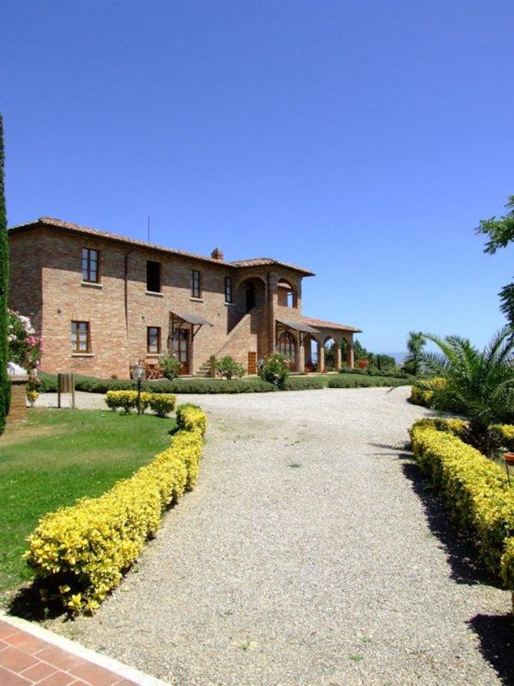 Cipressi - Montepulciano