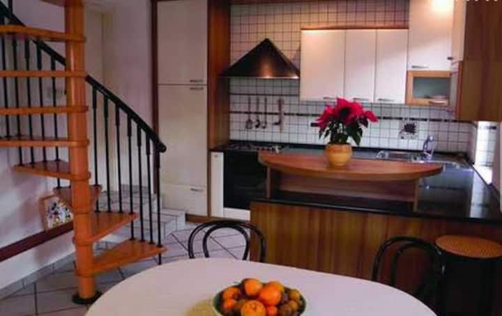 Portorož / Modern Apartment / Orange Tree - Piran