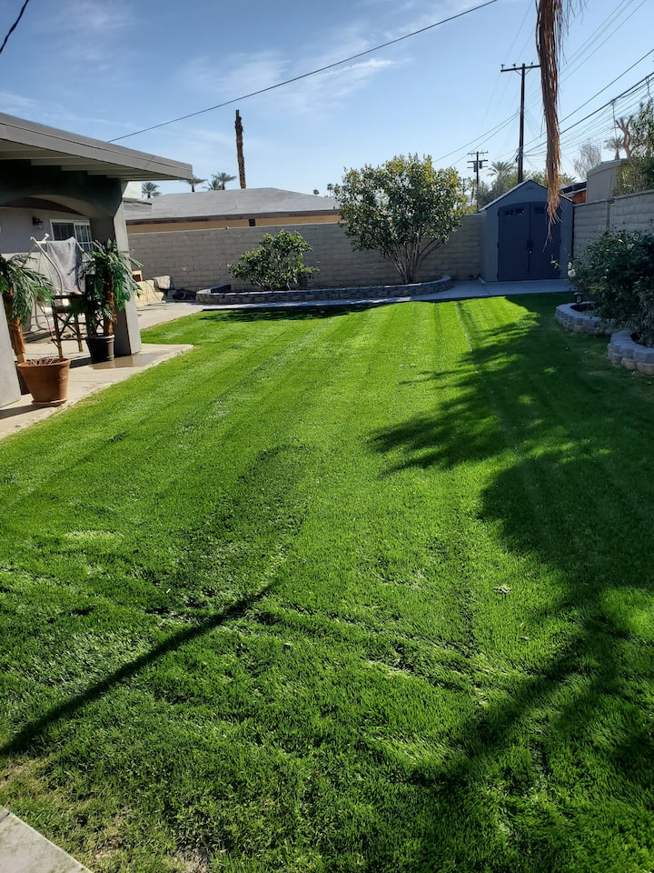 Jasine Coachella Festival 3 - Indio, CA