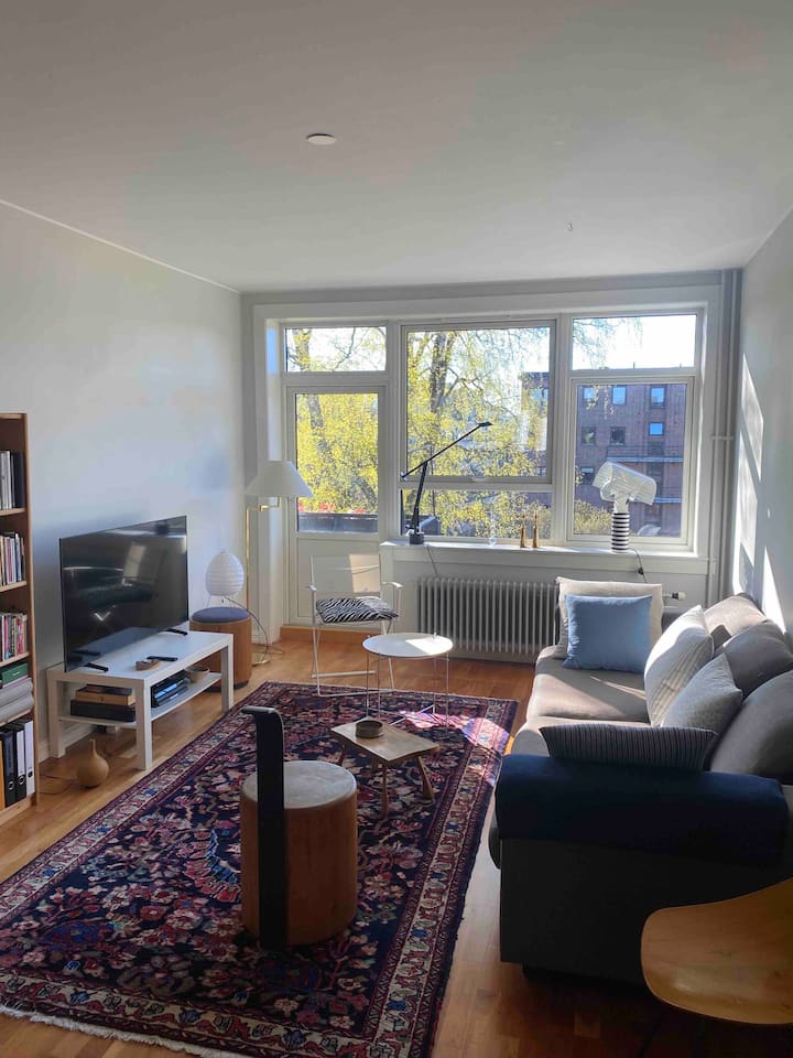 Central Apartment With Balcony - Oslo