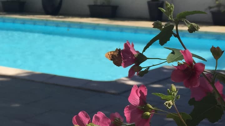 Grand T1, Dans Villa Avec Piscine Près De Biarritz - Tarnos