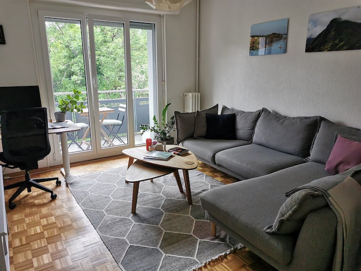 Charming Apartment With A Balcony On The Riverside - Lausanne