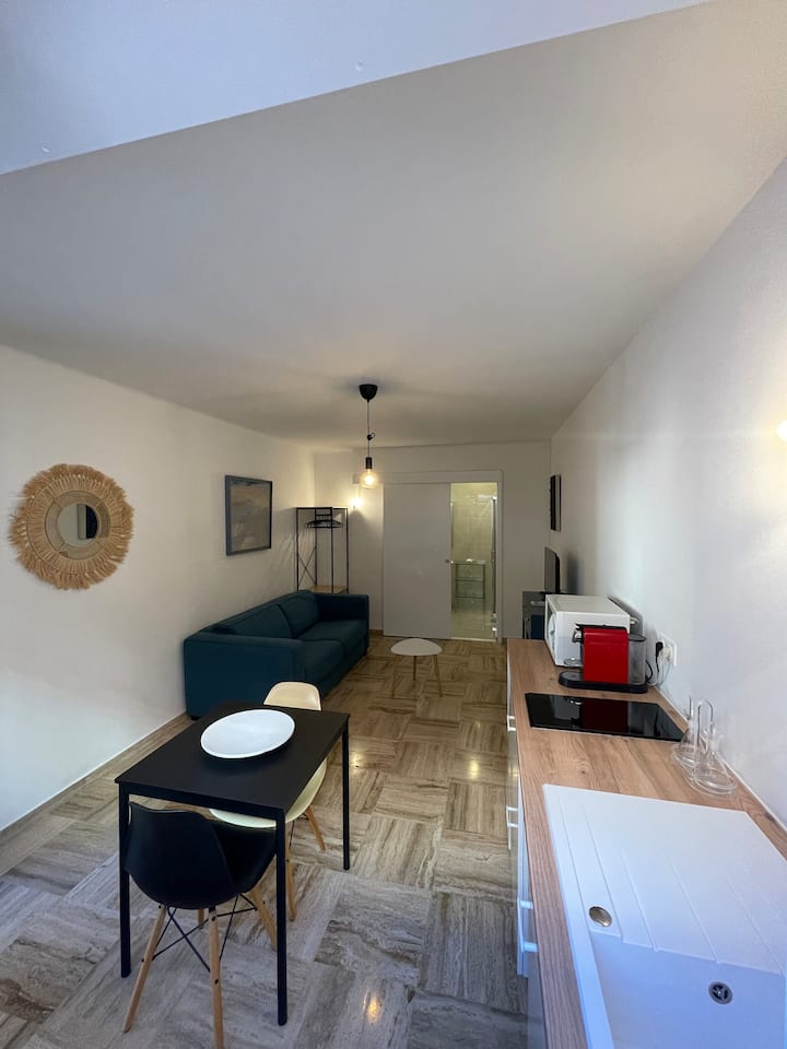 Beau Studio - 100m De La Plage Palm Beach - Antibes