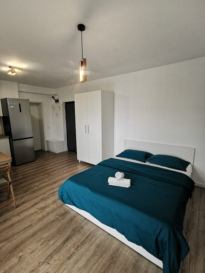 Lux Apartament Baia Mare 45 - Baia Mare