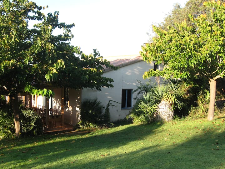 Chez Bernard Et Brigitte - Pianottoli-Caldarello