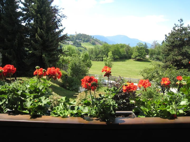 Casa Dolce Casa - Appartamento 2 Piani X 8 P.letto - Alpe di Siusi
