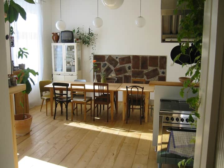 Altbauwohnung Im Zentrum Mit Zwei Gästezimmern - 格拉茨