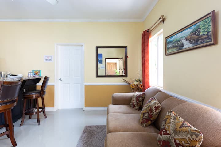 Harry And Ann’s Uptown  Apartment, Secure, Central - Kingston, Jamaica