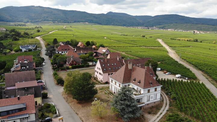 Relaxing And Cosy Flat In The Greiner Winery - Riquewihr