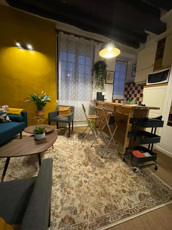 Cosy Flat In Center Of Paris - Rue Dauphine - Paris