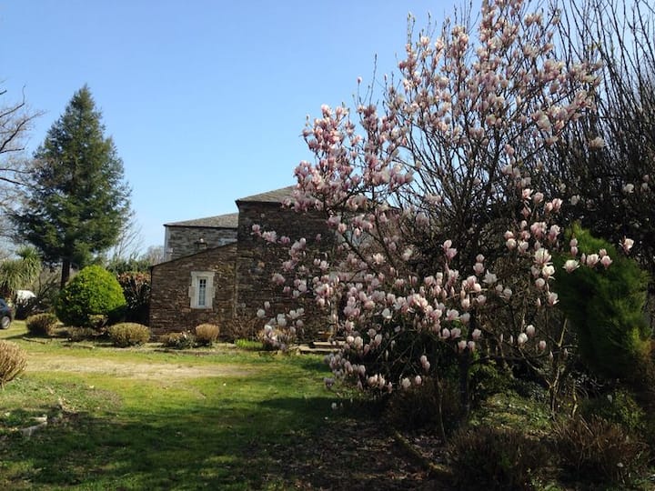 Moulin 15ème Siècle - Mos