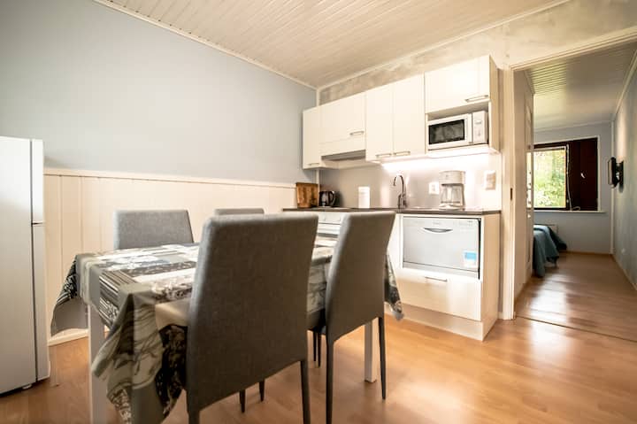 Newly Renovated Apartment With Confy Backyard - Lapland