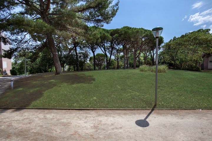 Toulouse Chambre Individuelle - Cugnaux