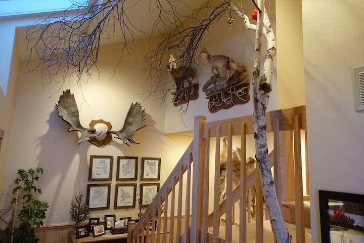 Bretton Woods & White Mountains Get-away Home! - Bretton Woods, NH
