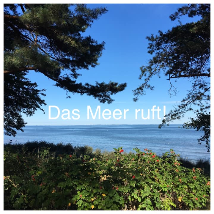 Gästehäuschen “Kleine Auszeit” - Greifswald