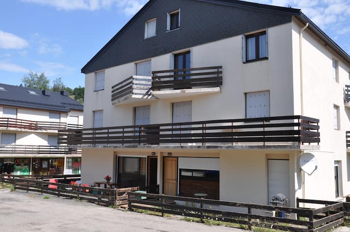 Les Jolis Bleuets - L'espérou  Mt  Aigoual - Saint-Sauveur-Camprieu