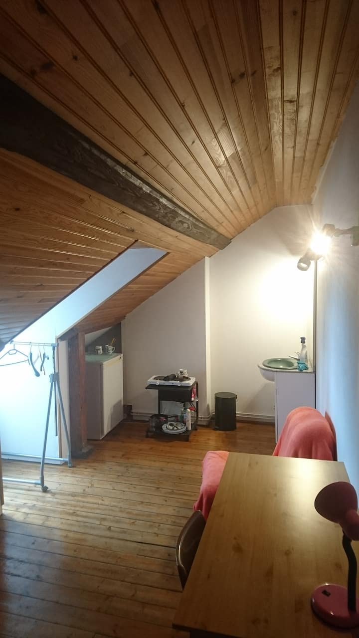 Meublé Près : Stade Piscine Tram Gaumont Commerces - Valenciennes