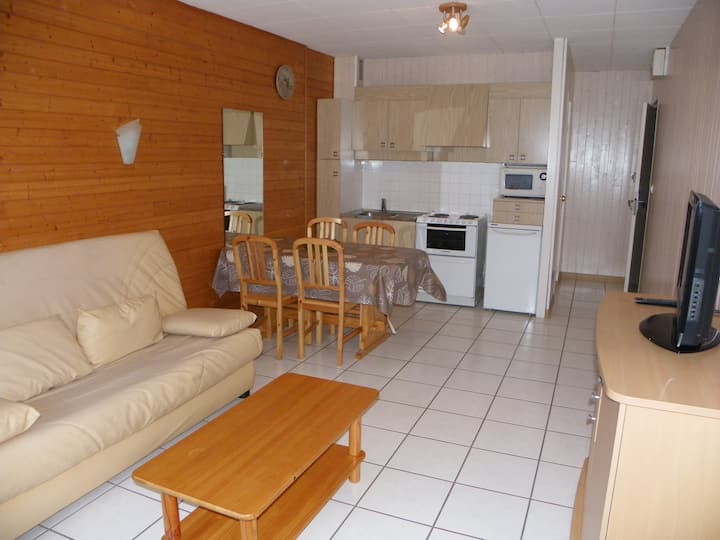 Appartement  En Centre Ville - Villa Souchal - Murol