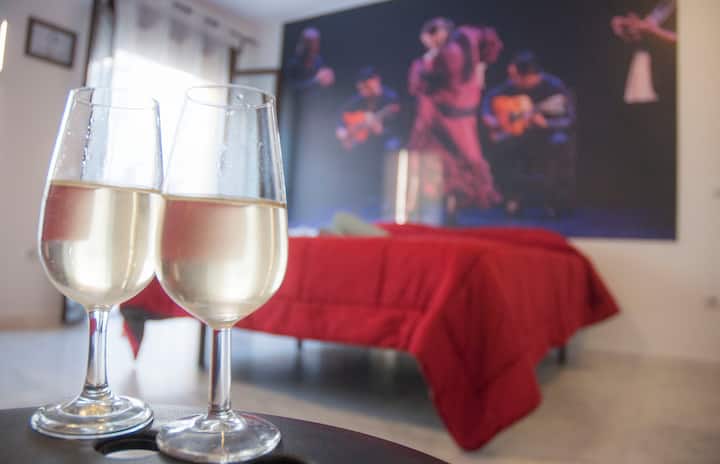Andalucía Jerez Apartamentos - Jerez de la Frontera
