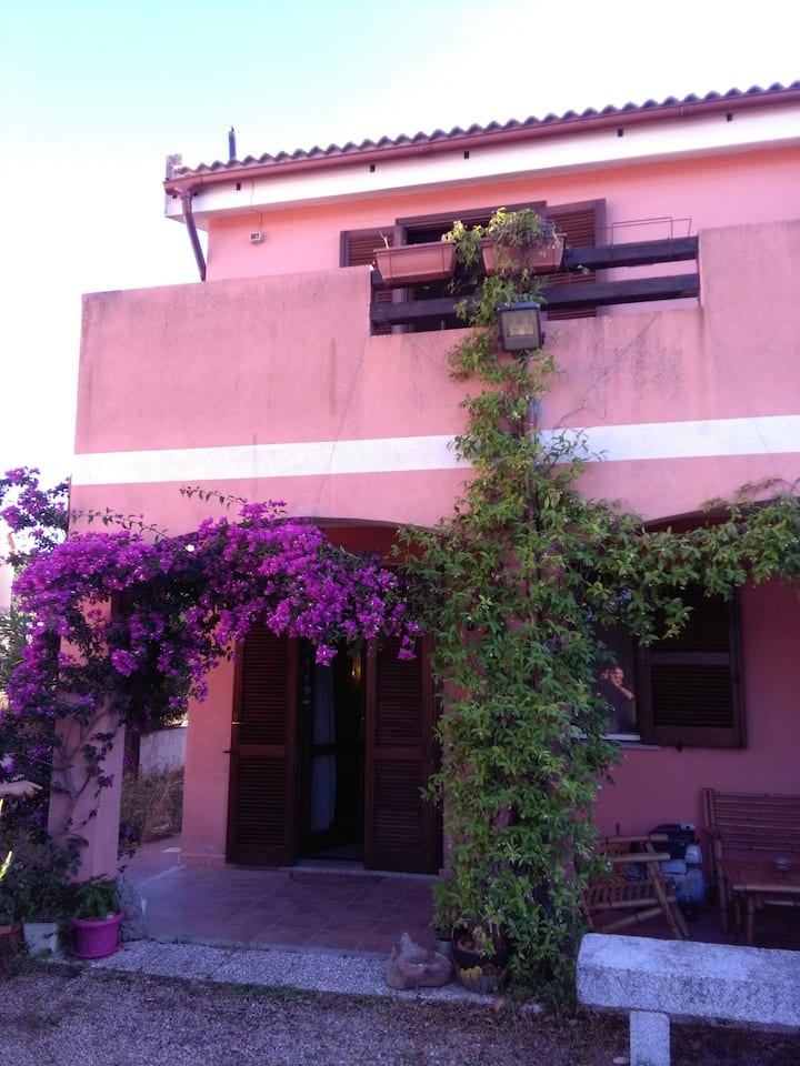 Casa Intera Con Giardino A 15 Km Da Olbia - Monti