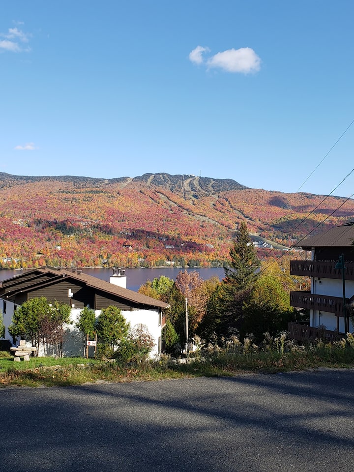 Condo With A View Of Lactremblant And Mountain! - Mont-Tremblant