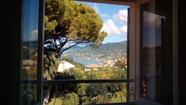 Beautiful View And  Private Garden In Camogli! - Camogli