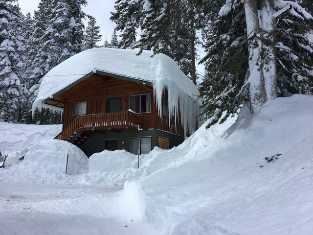 15 Best Mammoth Cabins | Trip101