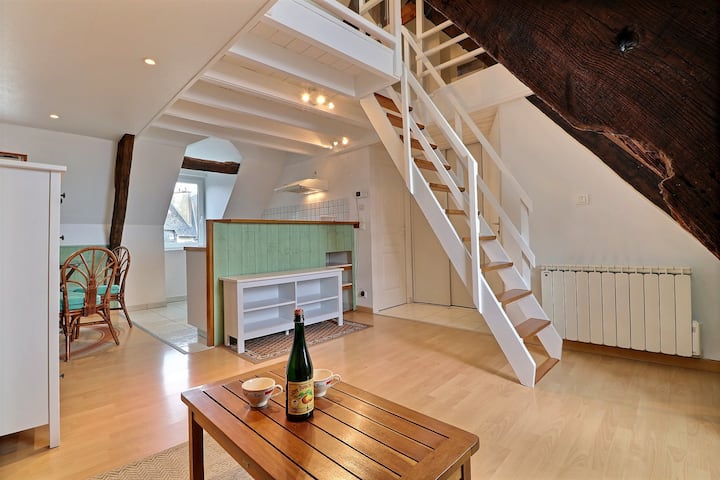 Duplex Vue Mer Face Intra Saint- Malo Park Gratuit - Dinard
