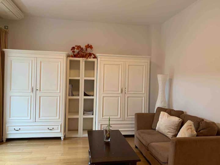 Central Studio Near Cismigiu Park - Bucarest