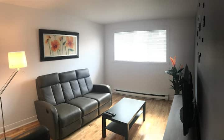 Grand Logement  1 Chambre - Montreal